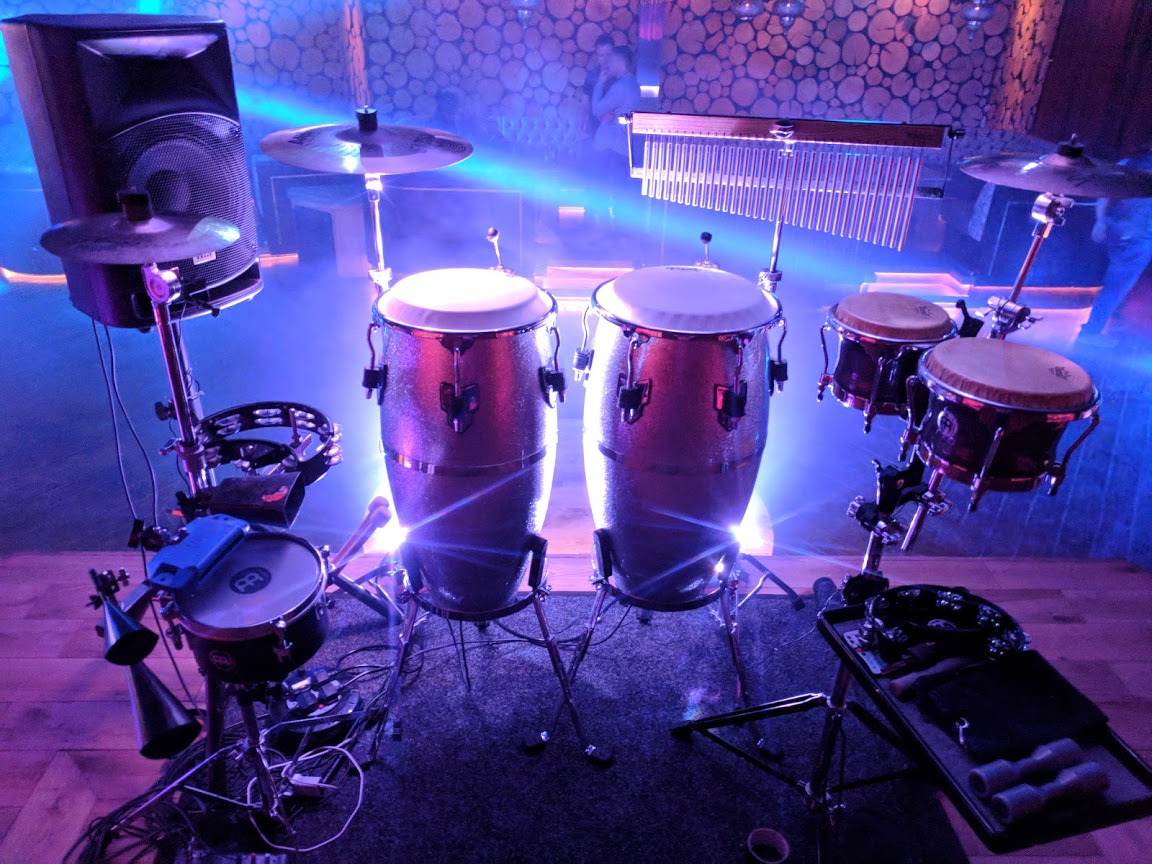 King Konga - Everything you need to know when booking